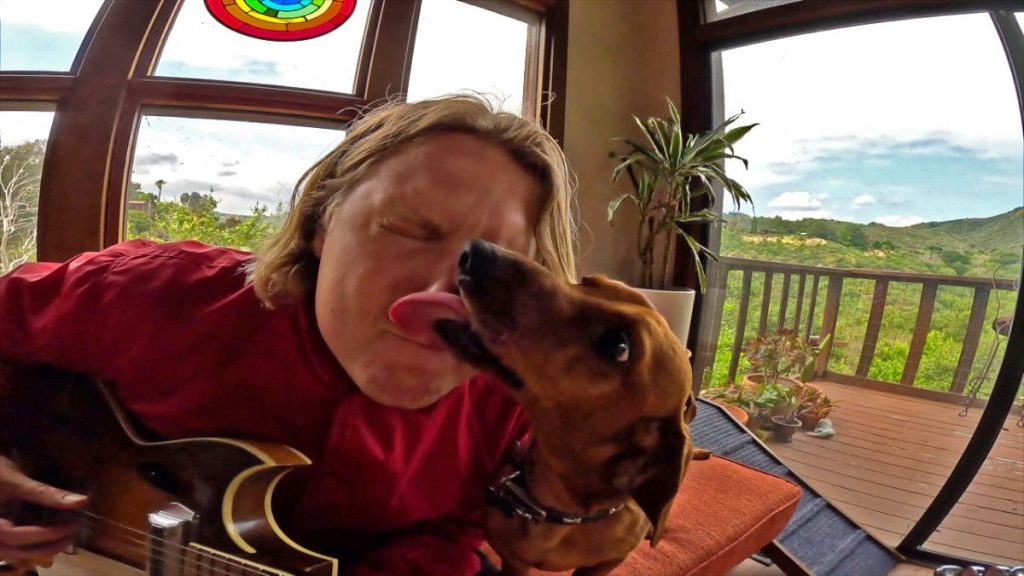 Ty Segall – “My Best Friend” [Video] – The Fire Note